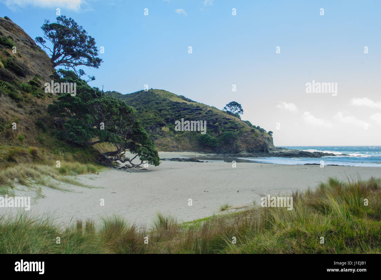 Northland region hi-res stock photography and images - Alamy