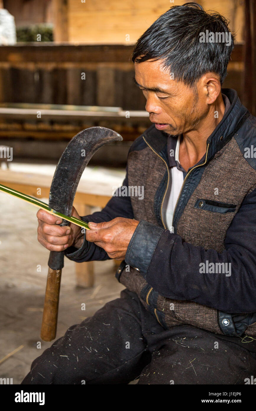 Huanggang, Guizhou, China. Middle-aged Dong Man Splitting Reeds Stock ...