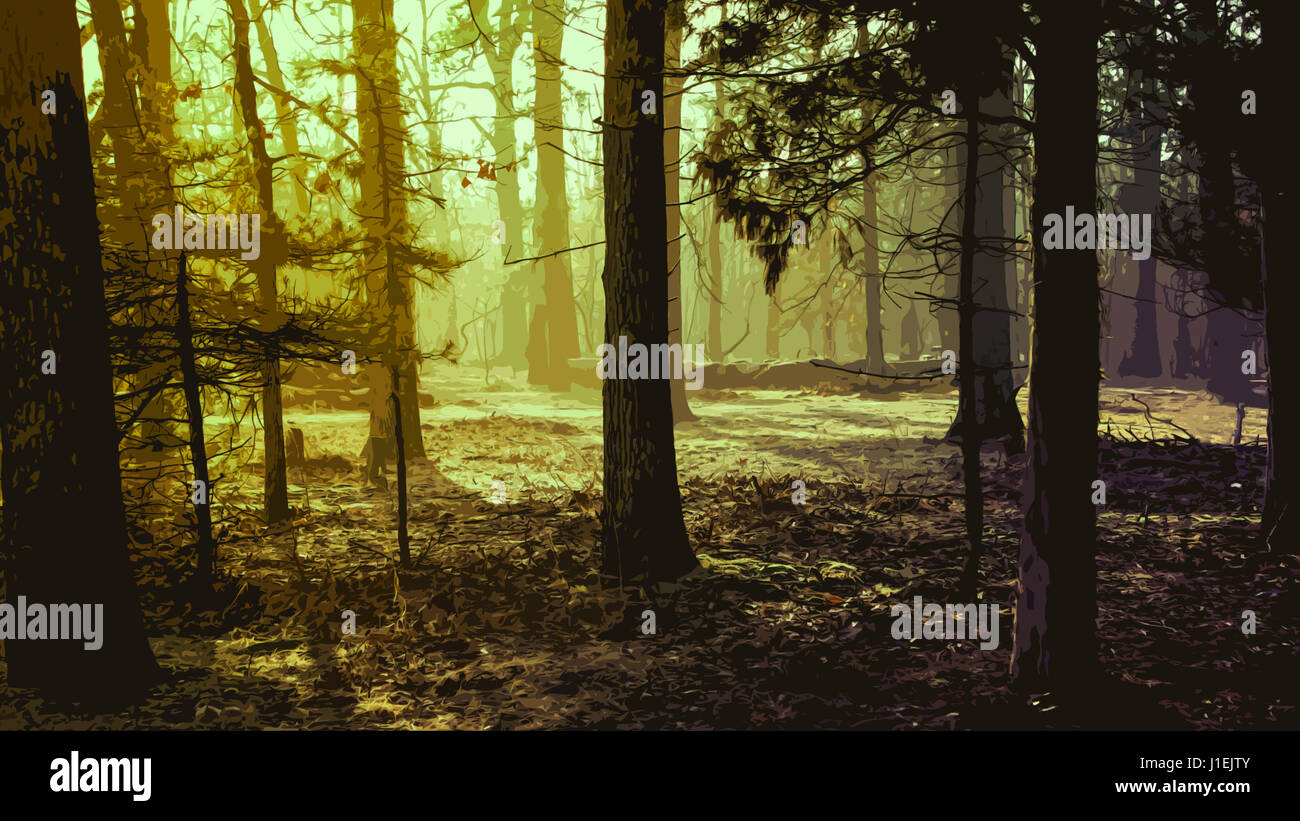 Forest layers hi-res stock photography and images - Alamy