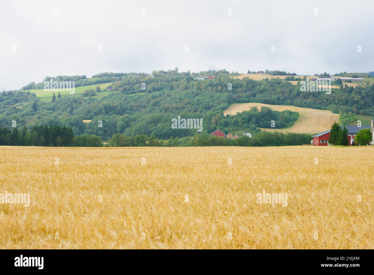 Norwegian countryside (view near road E6), Norway Stock Photo - Alamy