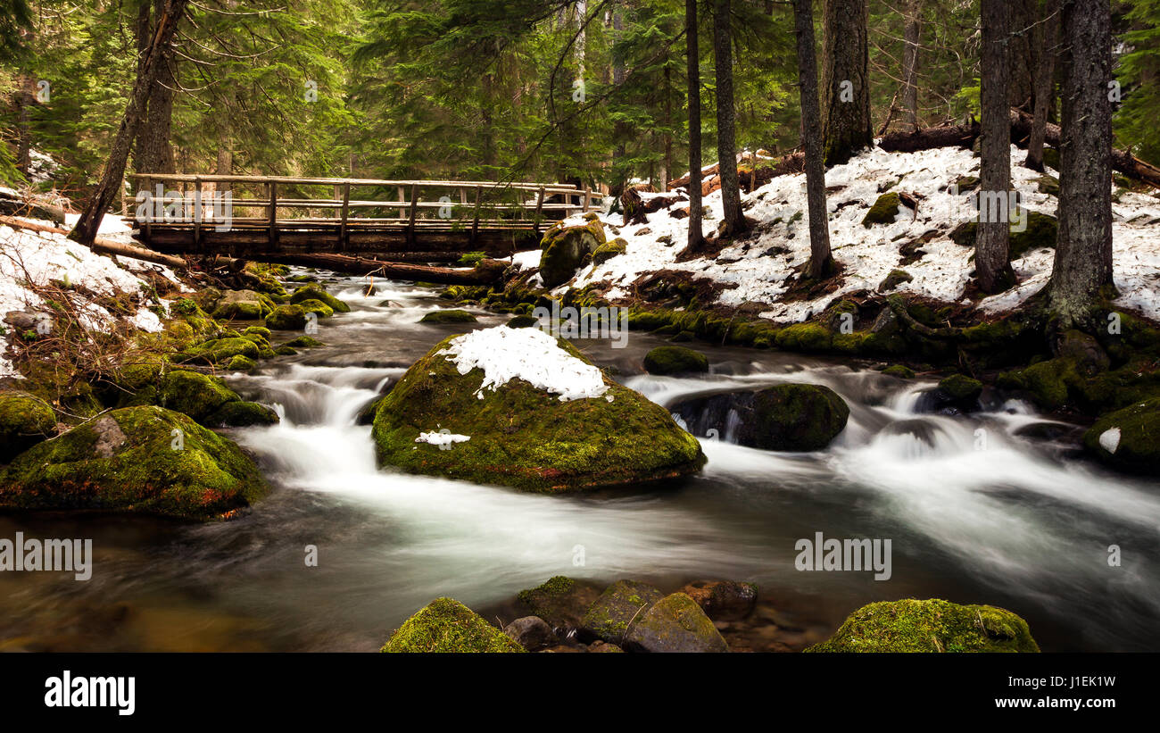 Spring is coming Stock Photo - Alamy