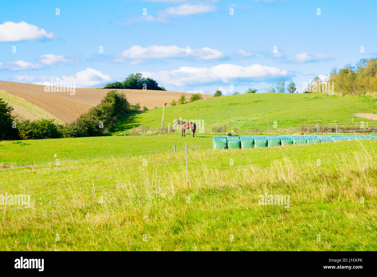 Mols denmark hi-res stock photography and images - Alamy