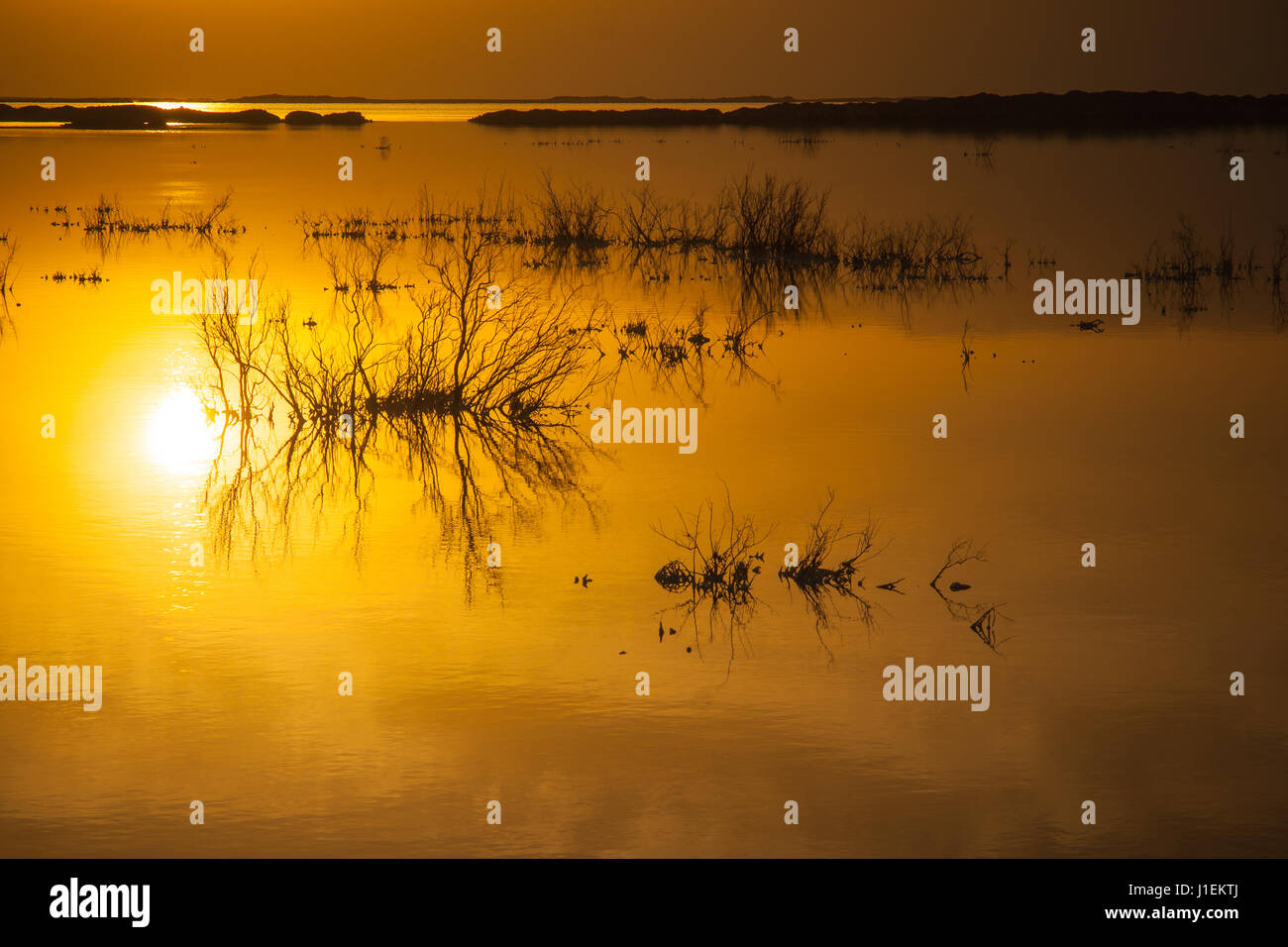 Neve zohar hi-res stock photography and images - Alamy