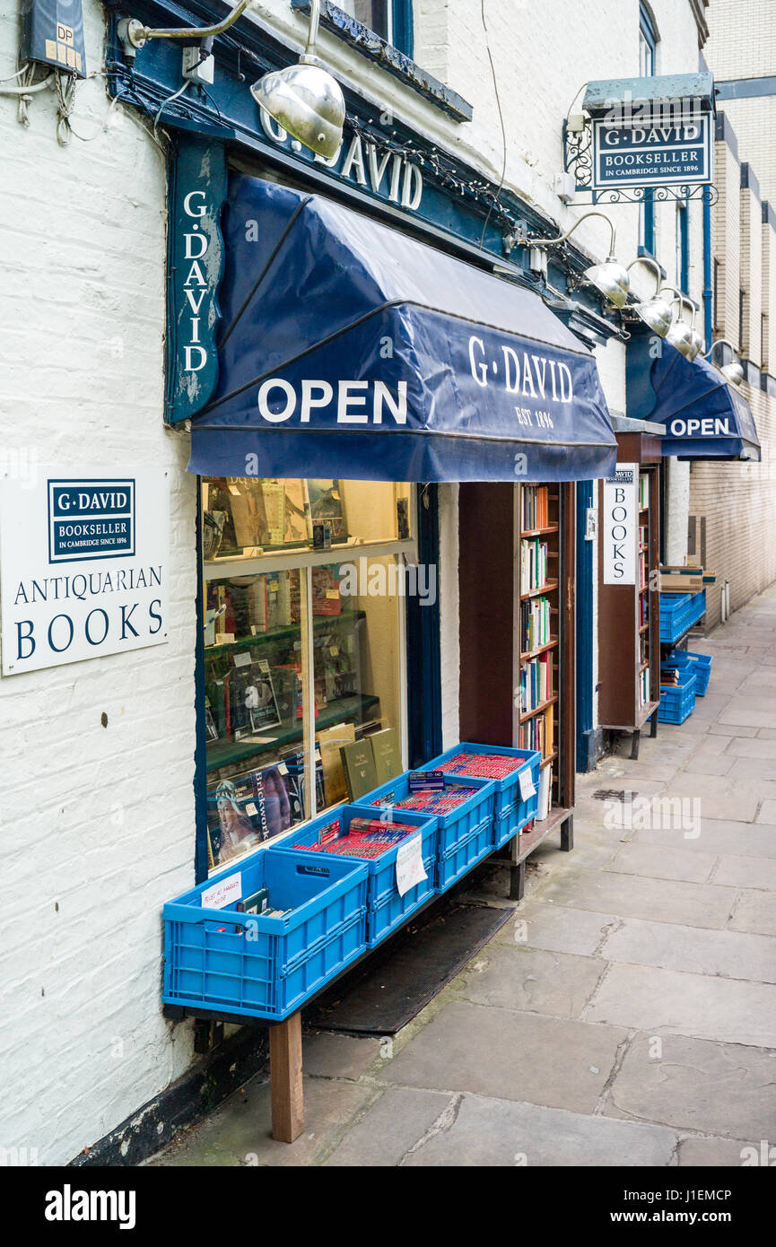 Where david edwards hi-res stock photography and images - Alamy