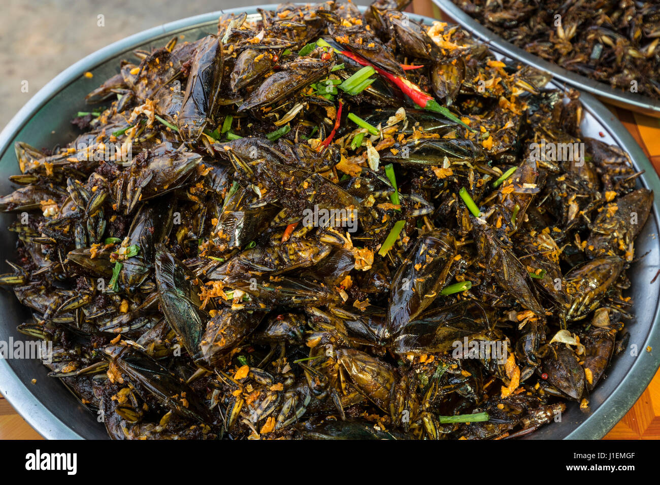 Cockroaches at market hi-res stock photography and images - Alamy