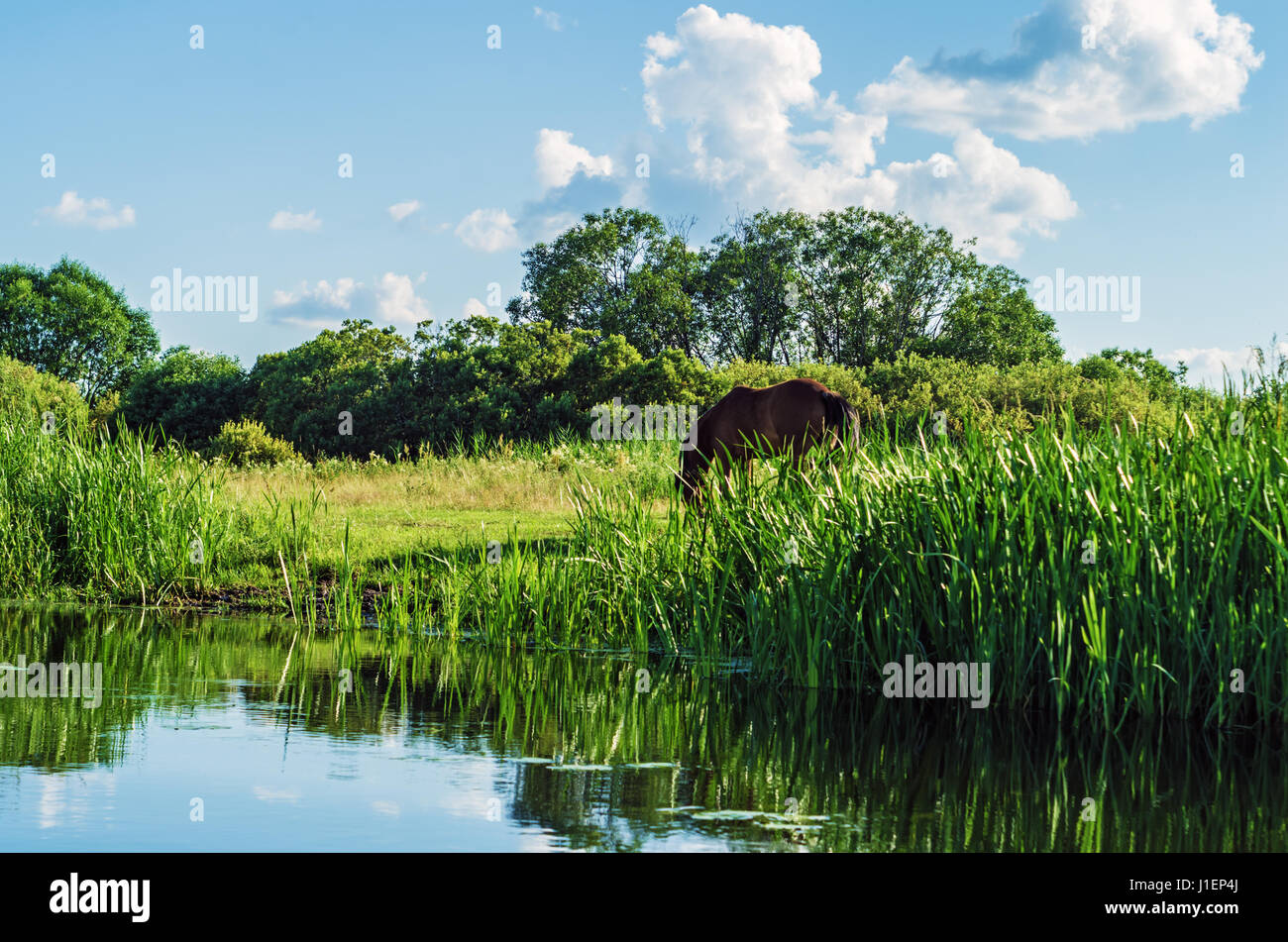 Canoe travel - rivers Toropa, Zapadnaja Dvina and lakes, from Russia to ...