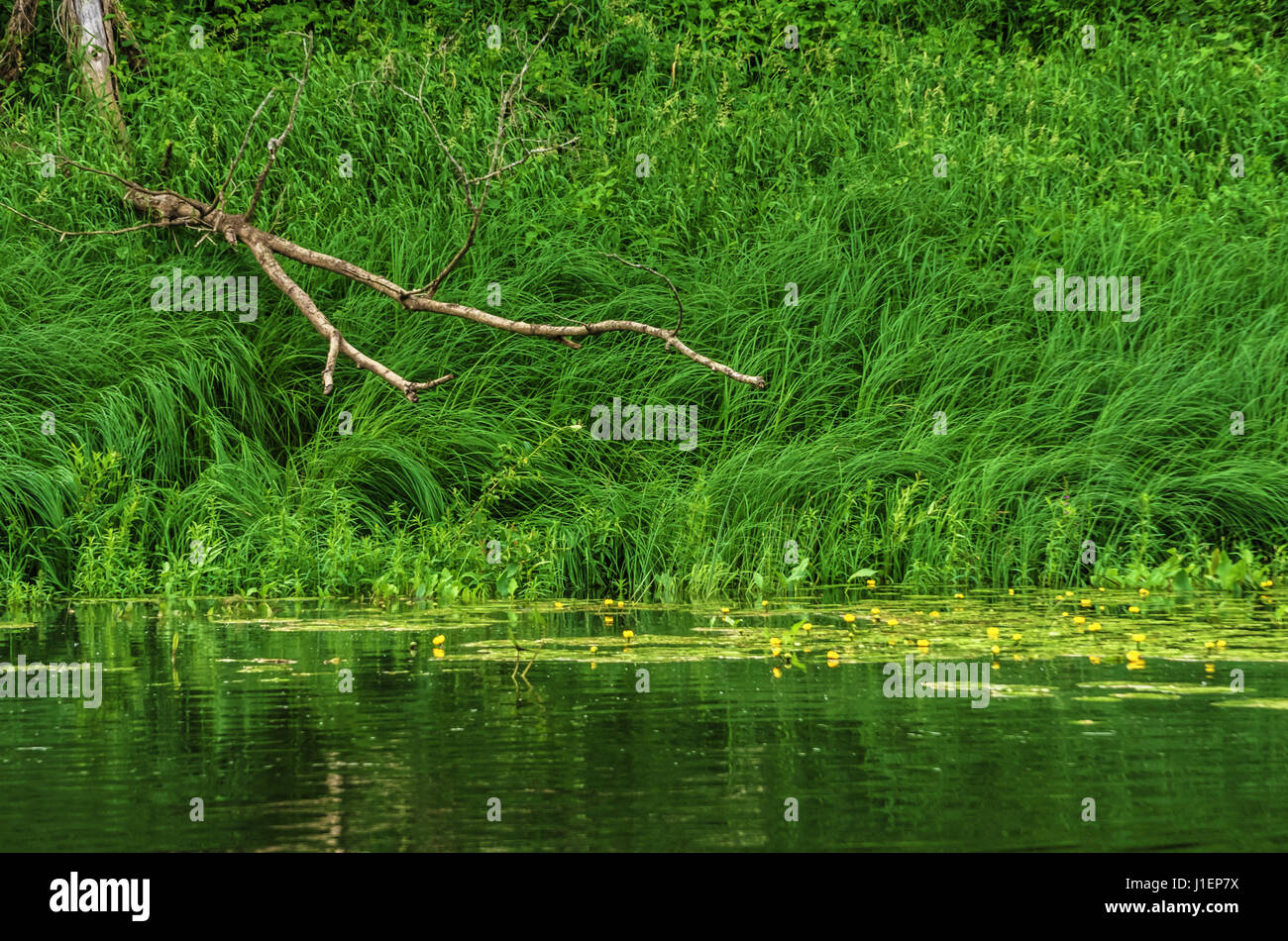 Canoe travel - rivers Toropa, Zapadnaja Dvina and lakes, from Russia to ...