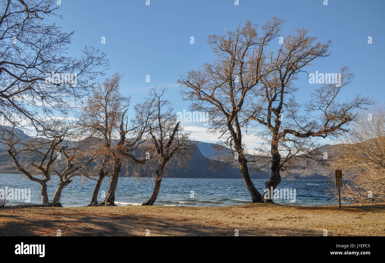 Lakar Lake, Patagonia Argentina Stock Photo - Alamy