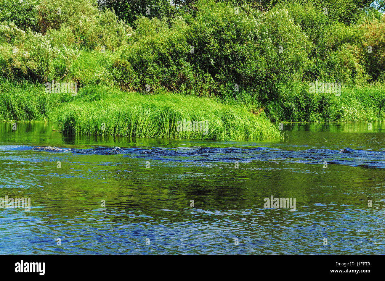 Canoe travel - rivers Toropa, Zapadnaja Dvina and lakes, from Russia to ...