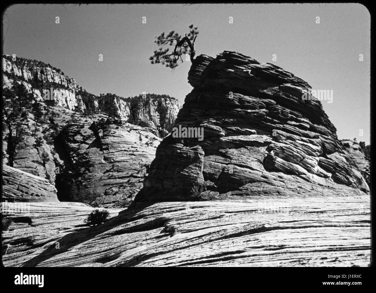 Slides 35 mm to photograph. Vintage old style pictures taken in late 60 ...