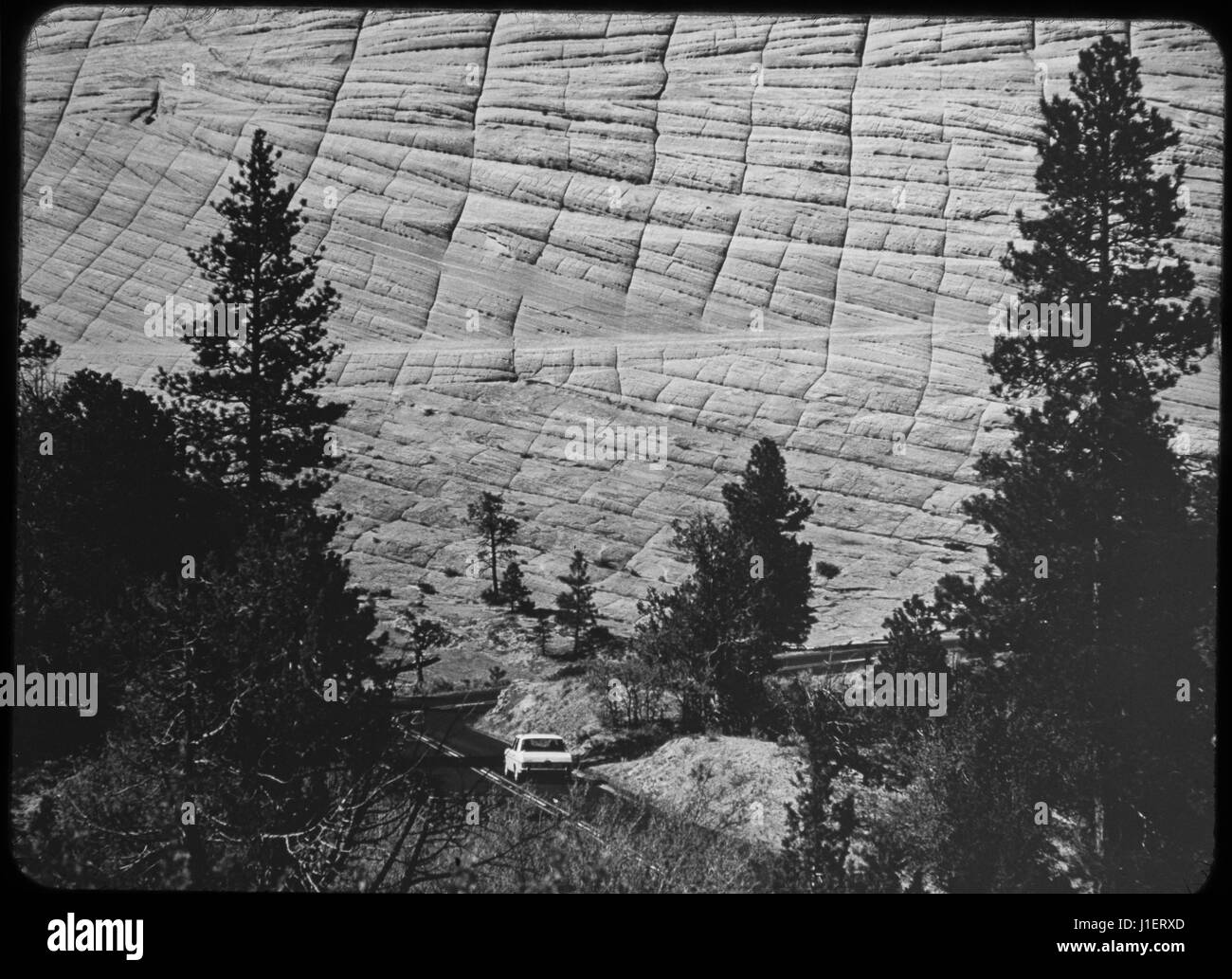 Slides 35 mm to photograph. Vintage old style pictures taken in late 60 ...