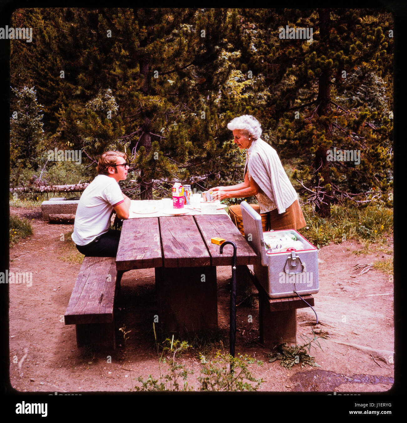 Slides 35 mm to photograph. Vintage old style pictures taken in late 60 ...