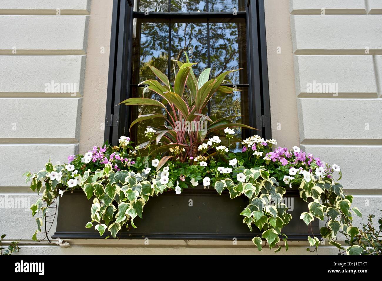 Colonial home with flower put decoration on window exterior Stock Photo ...