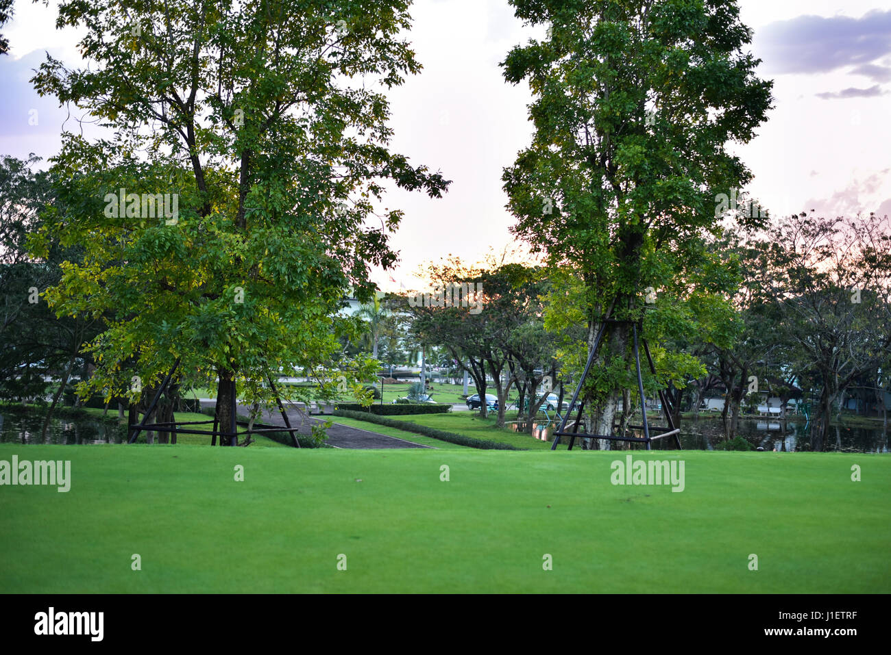 Spring in park Stock Photo - Alamy