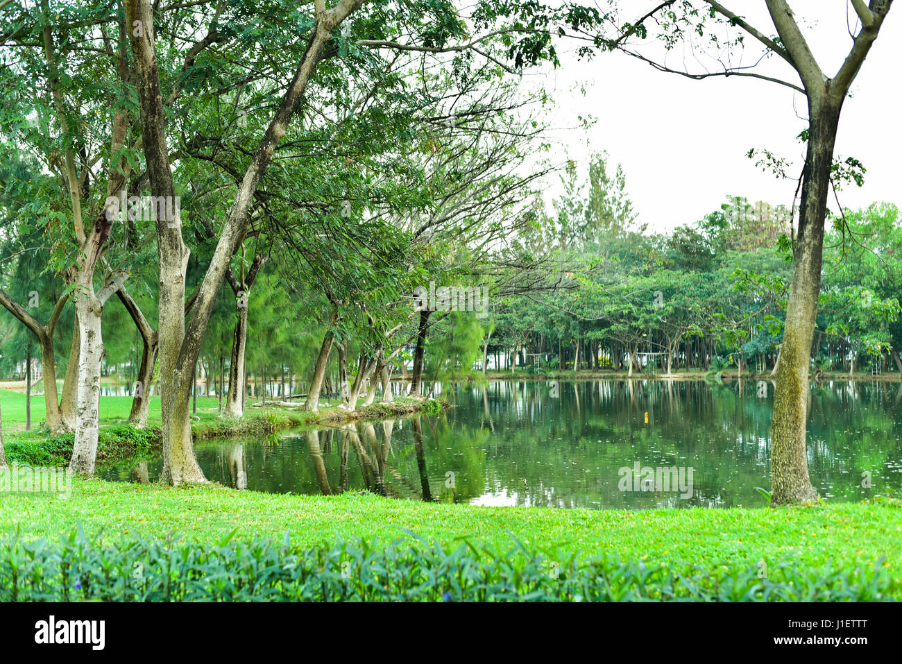 Spring in park Stock Photo - Alamy
