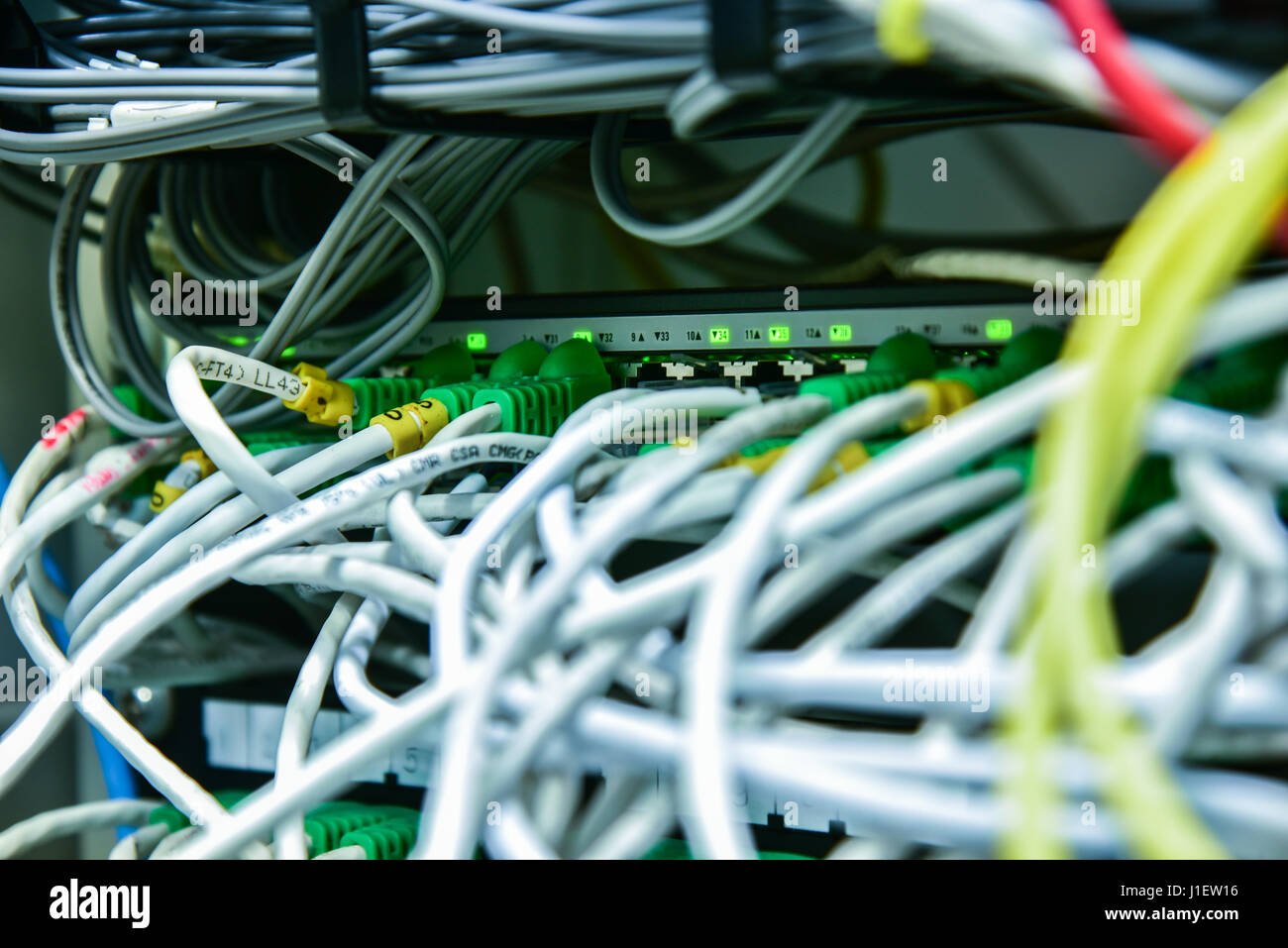 Network cable in data center Stock Photo - Alamy