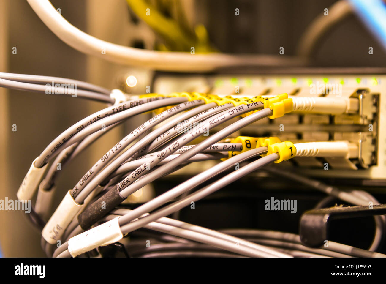 Network cable in data center Stock Photo - Alamy