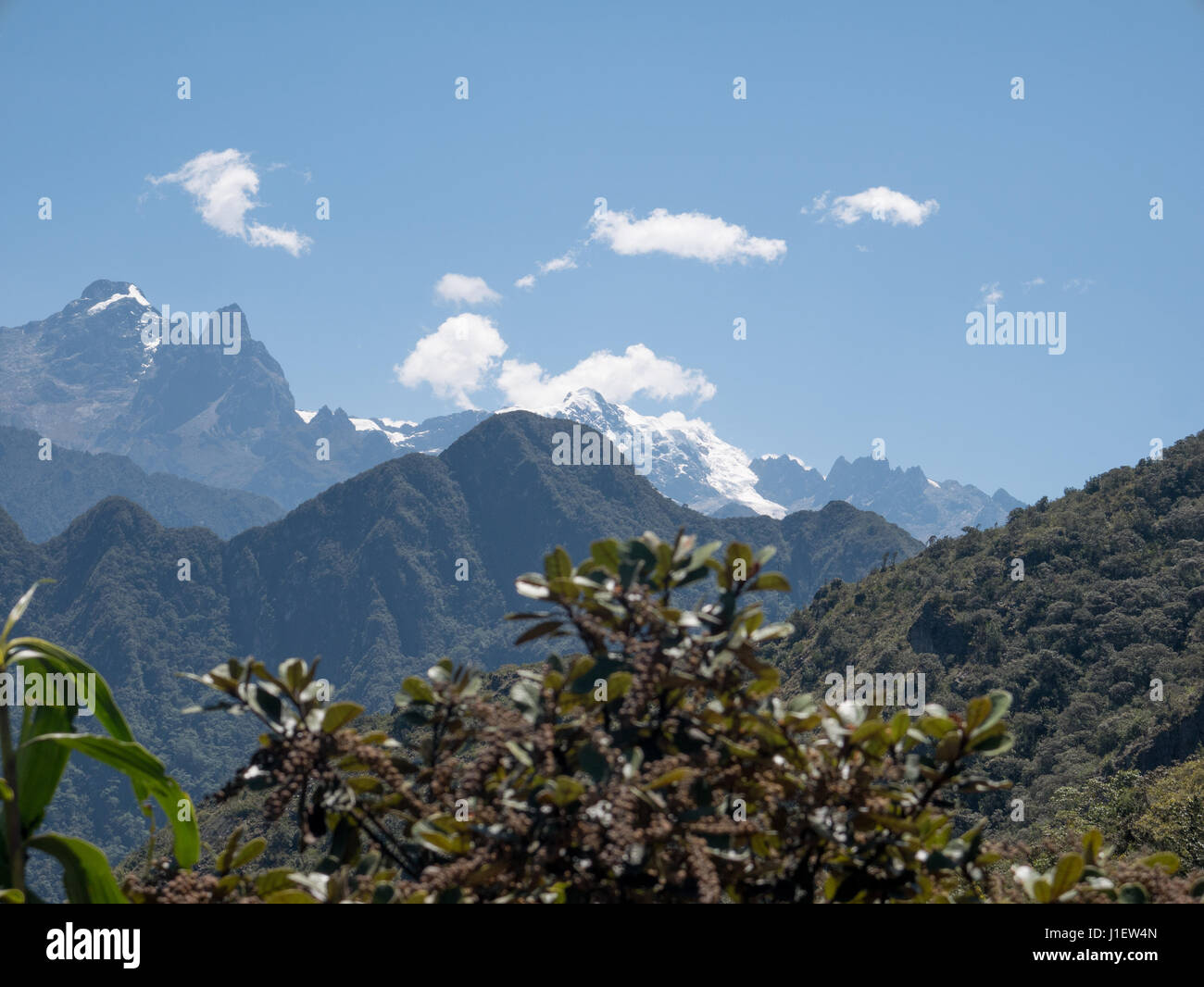Nevado veronica hi-res stock photography and images - Alamy