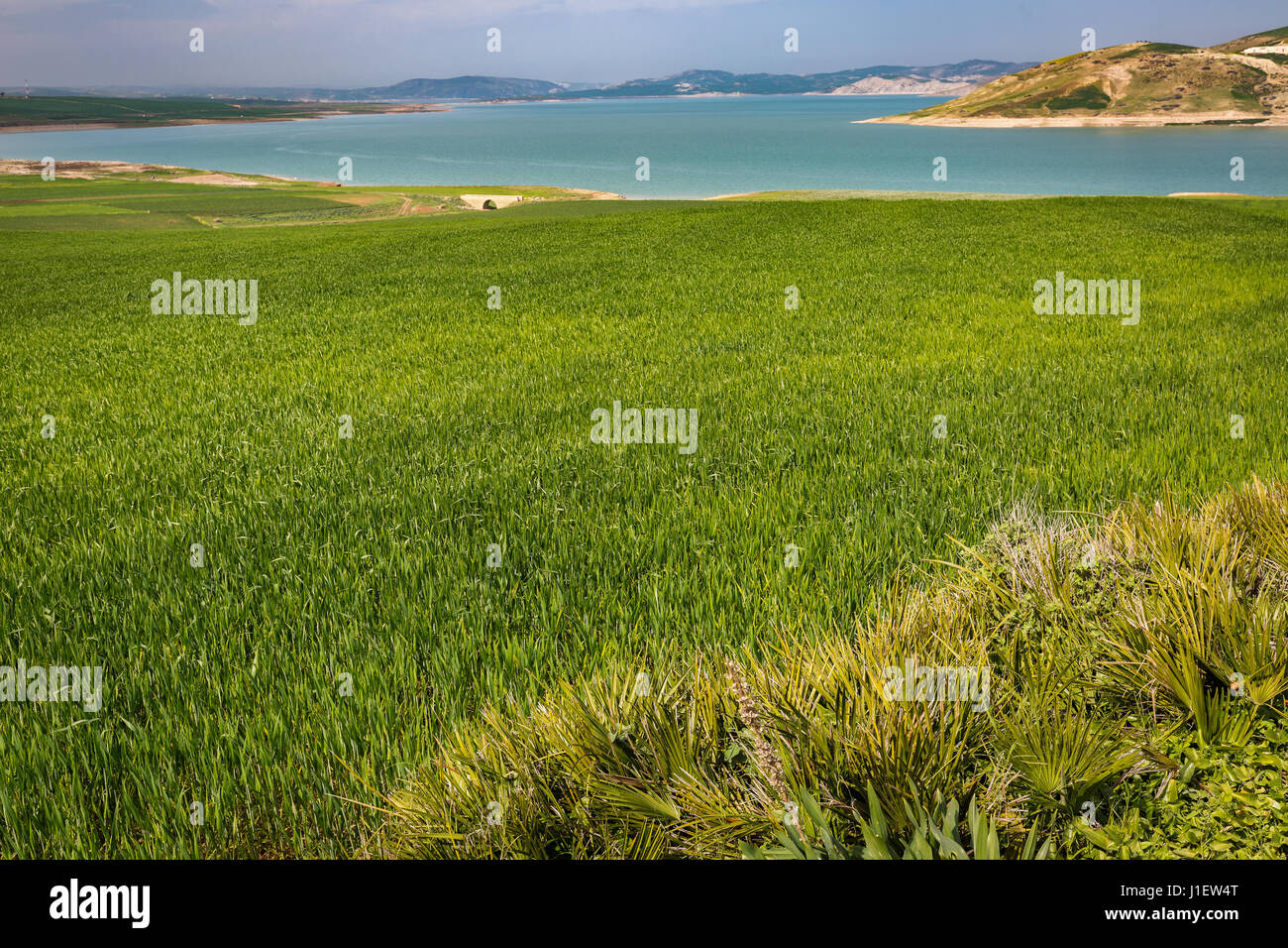 Highland spring water hi-res stock photography and images - Alamy