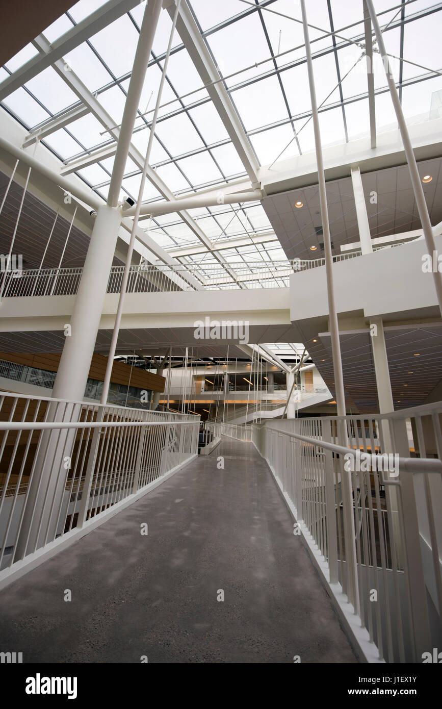 Plexus bridge railing pillars of glass transparent ceiling, suspended ...
