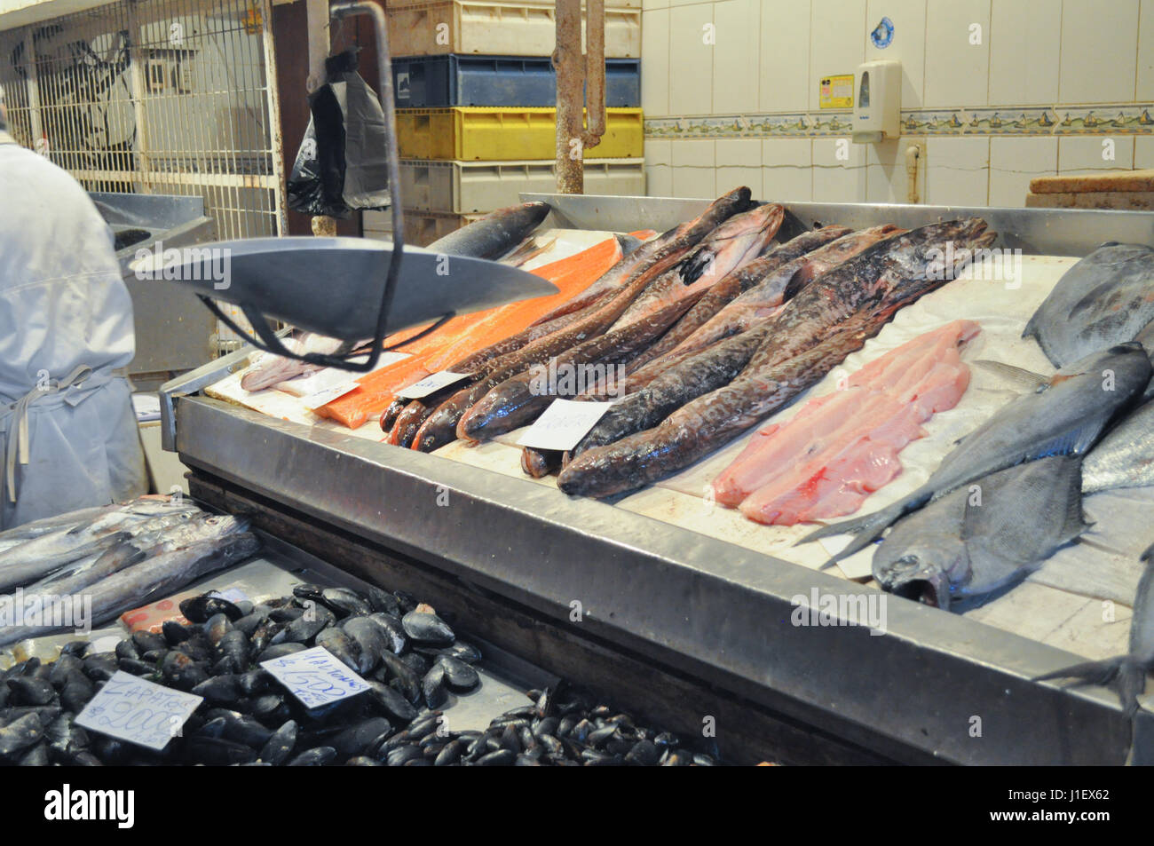 Congrio hi-res stock photography and images - Alamy