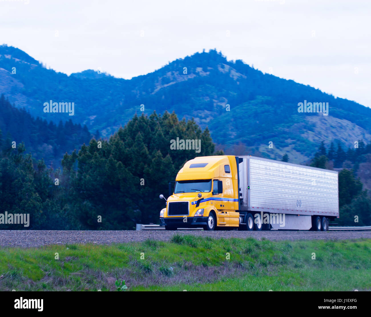Modern popular powerful yellow big rig semi truck with a refrigerator ...
