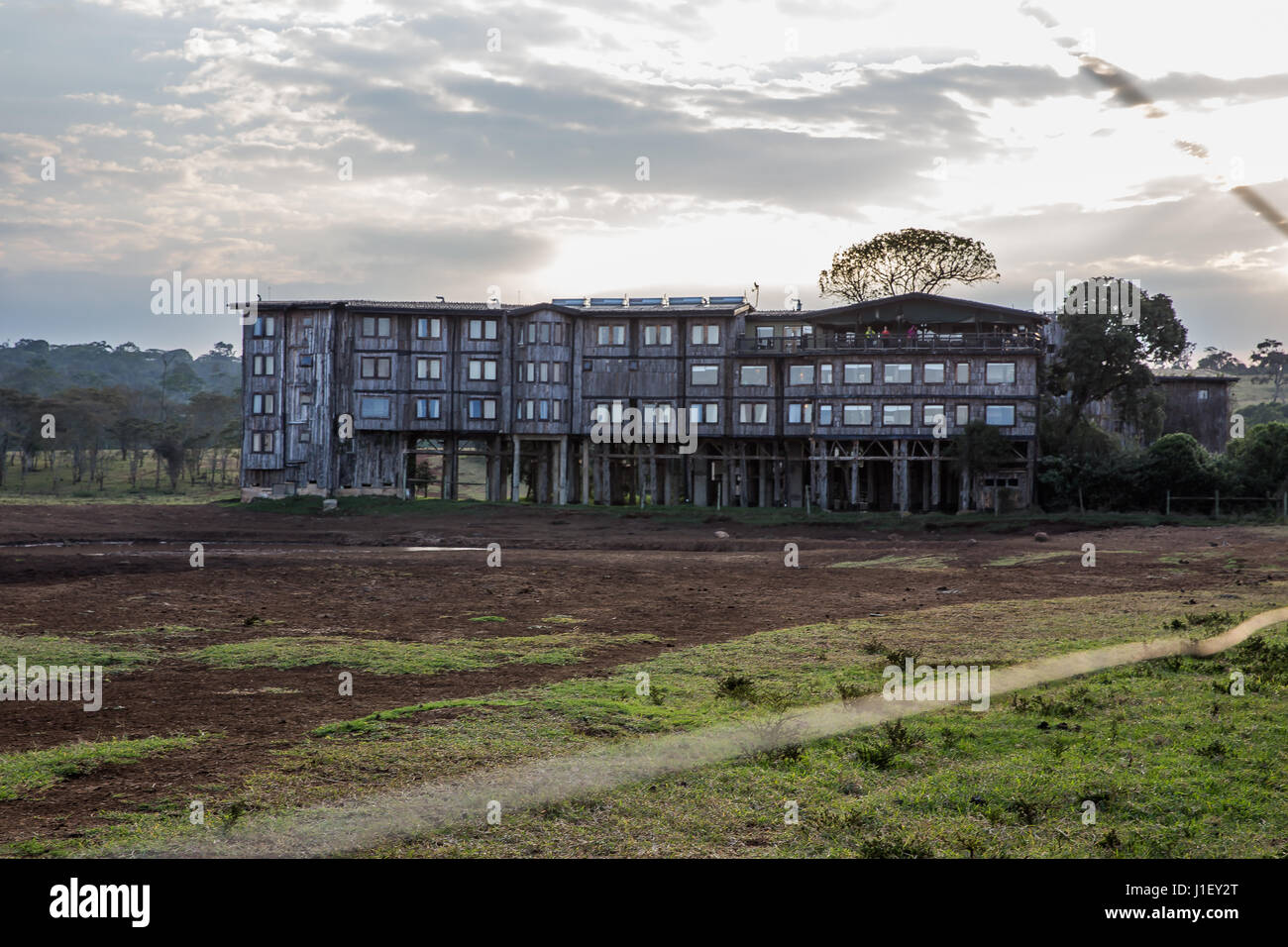 Tree tops hotel kenya hi-res stock photography and images - Alamy