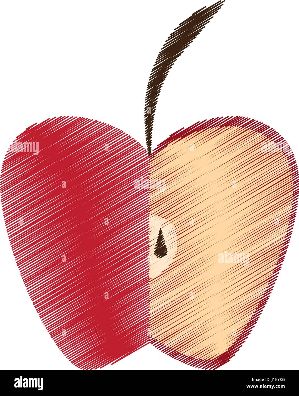 fresh fruit drawing icon Stock Vector Image & Art - Alamy