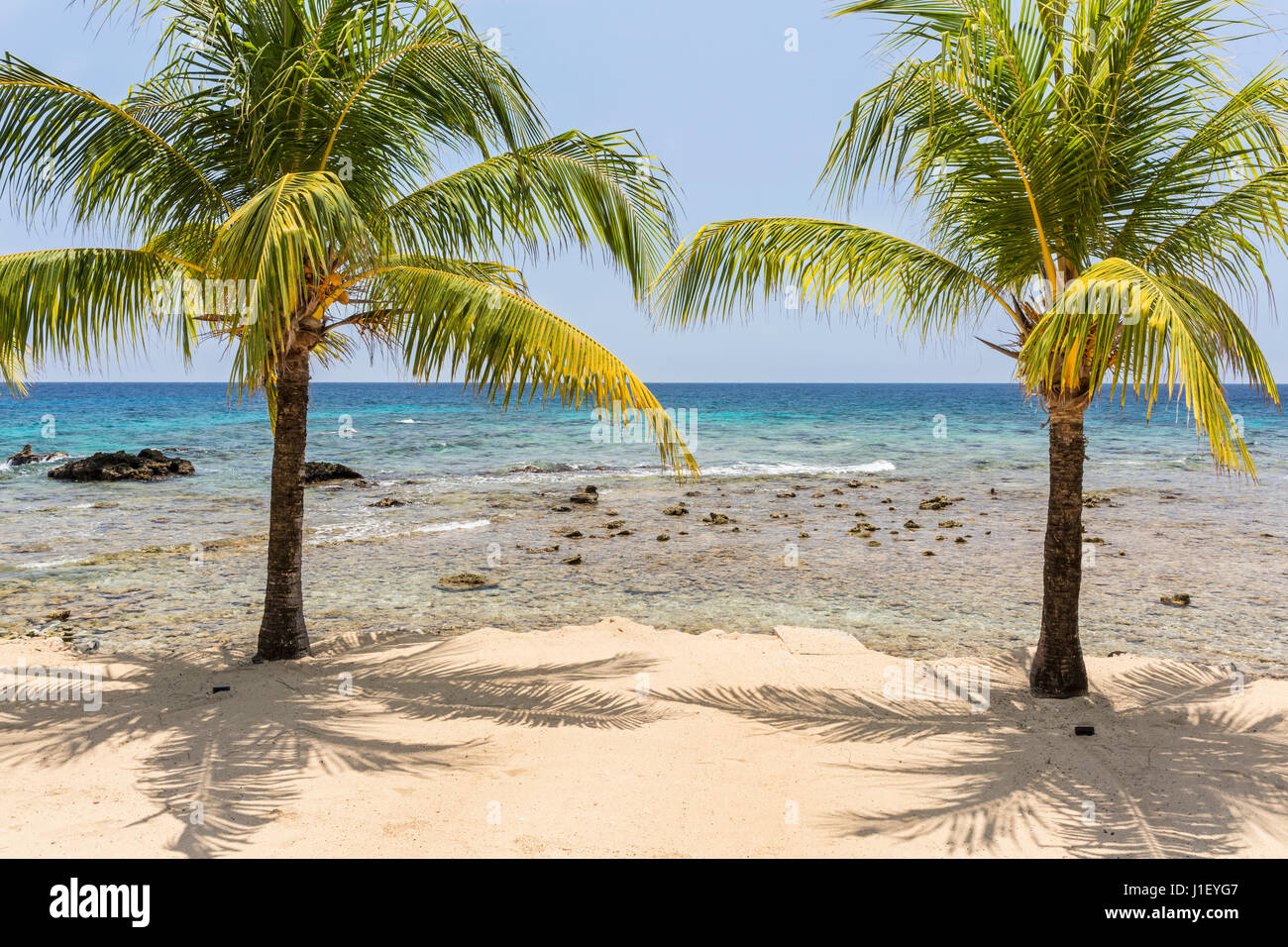 Coconut trees on sandy beach hi-res stock photography and images - Alamy