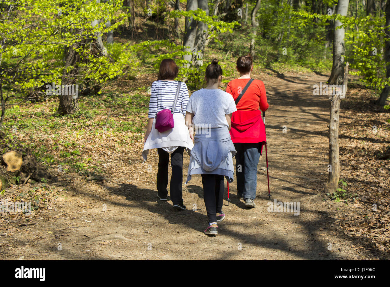 Three young girls walking in spring forest Stock Photo - Alamy