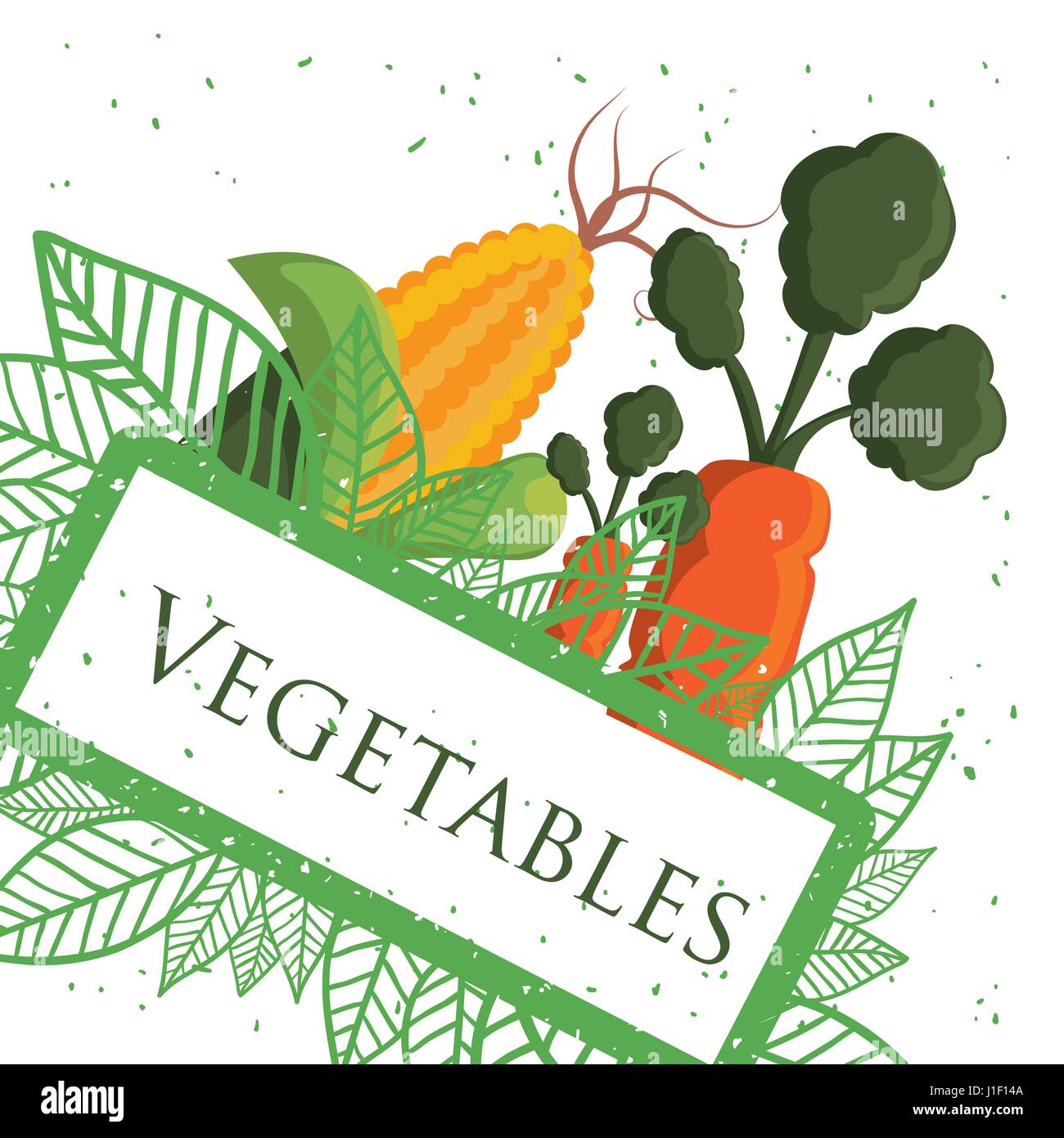 vegetables fresh healthy nutrition poster Stock Vector Image & Art - Alamy