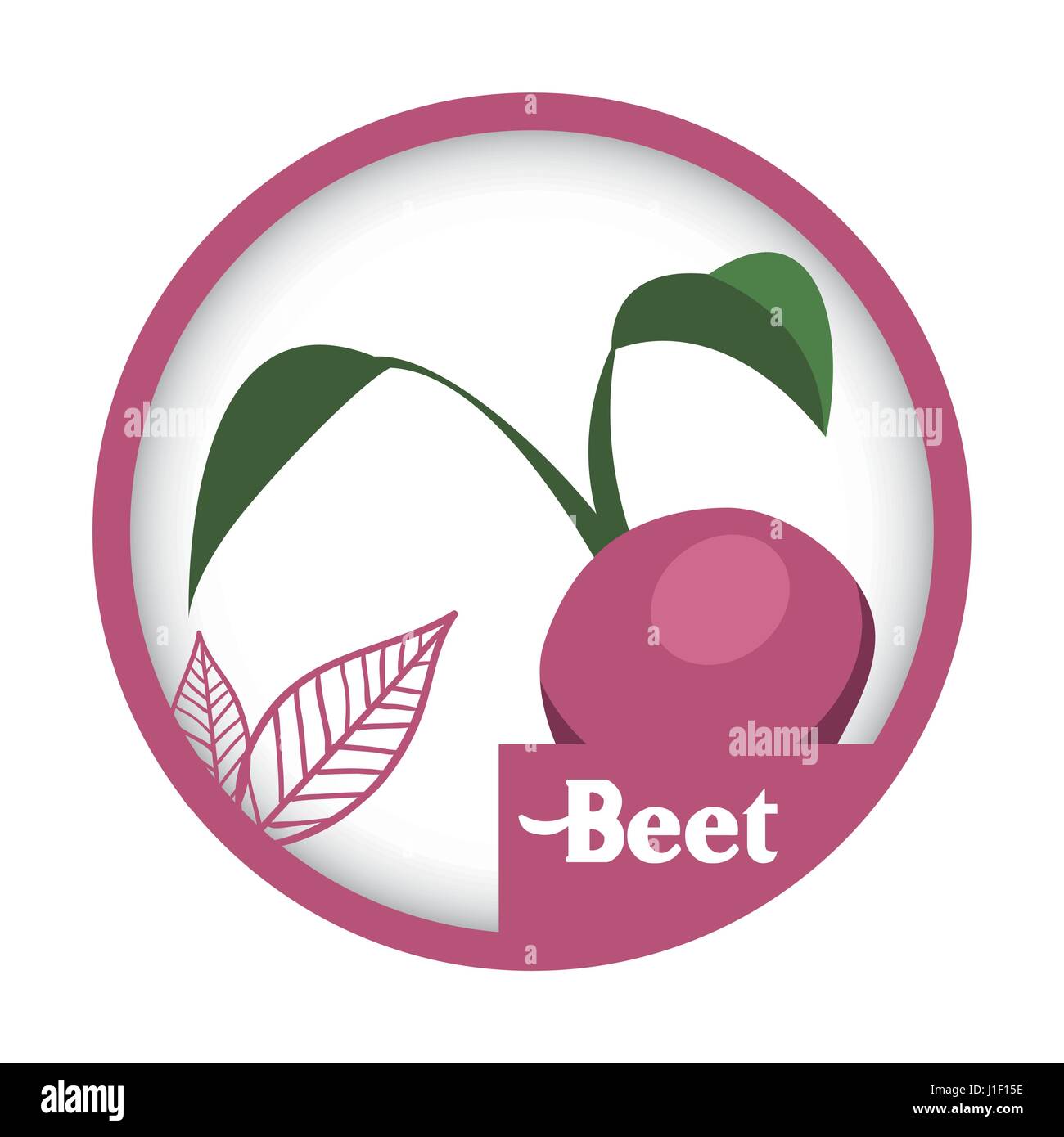 beet vegetable fresh healthy label Stock Vector Image & Art - Alamy