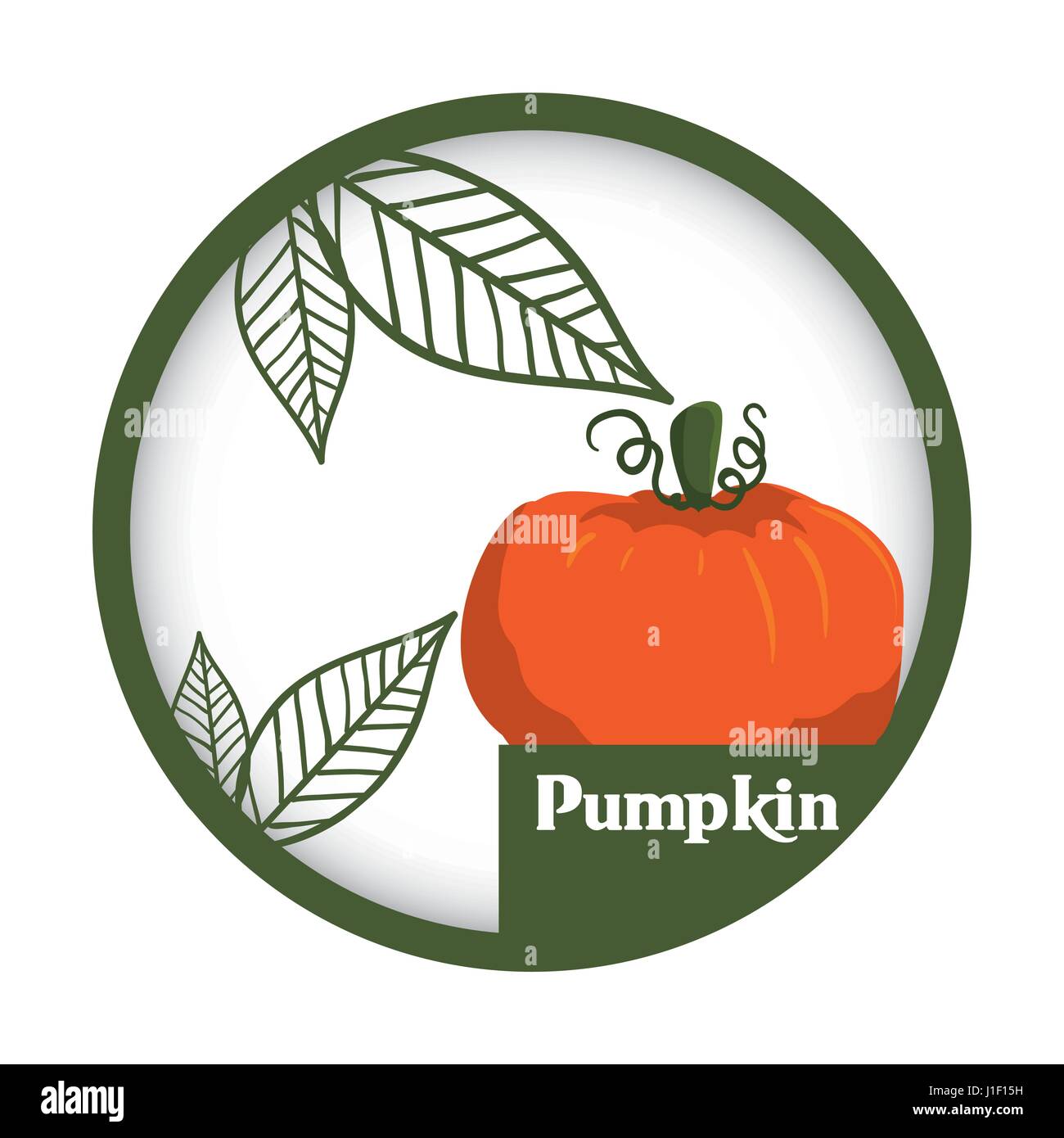 pumpkin vegetable fresh healthy label Stock Vector Image & Art - Alamy