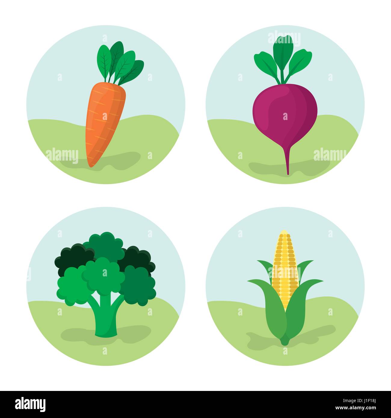 vegetables fresh food nutrition Stock Vector Image & Art - Alamy