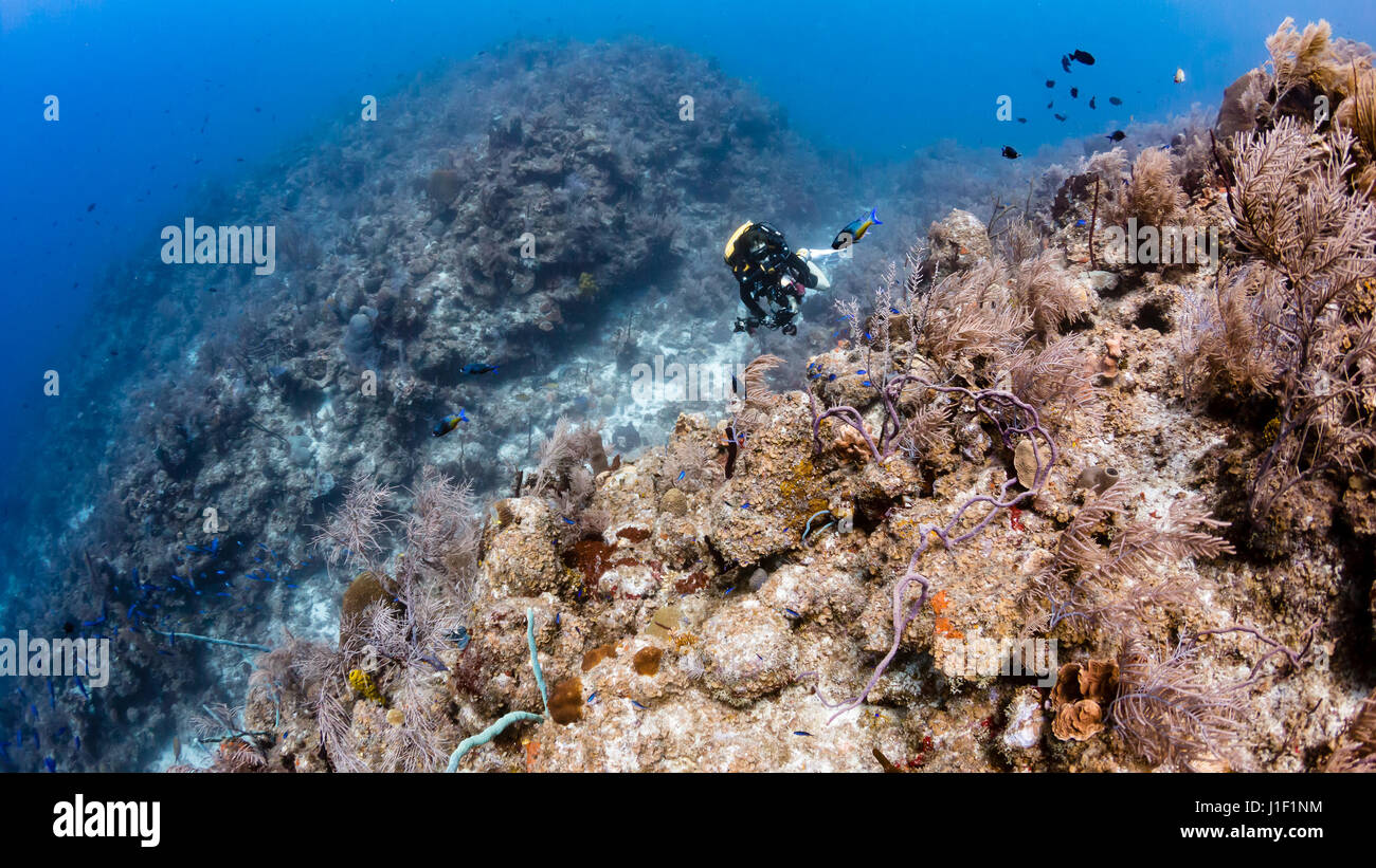Closed Circuit Rebreather High Resolution Stock Photography and Images ...