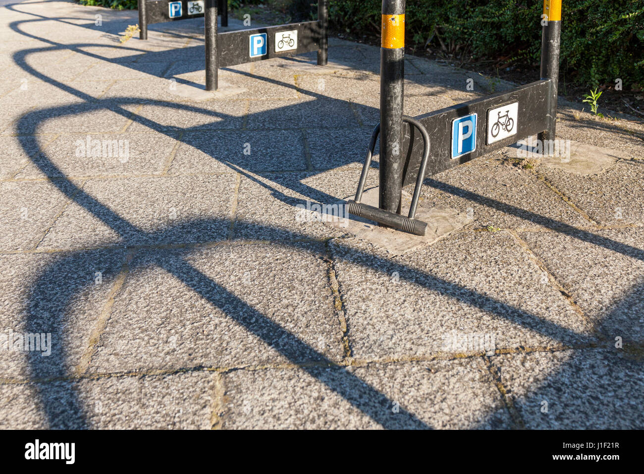 A D lock type cycle lock attached to a bike rack for parking bikes. The ...