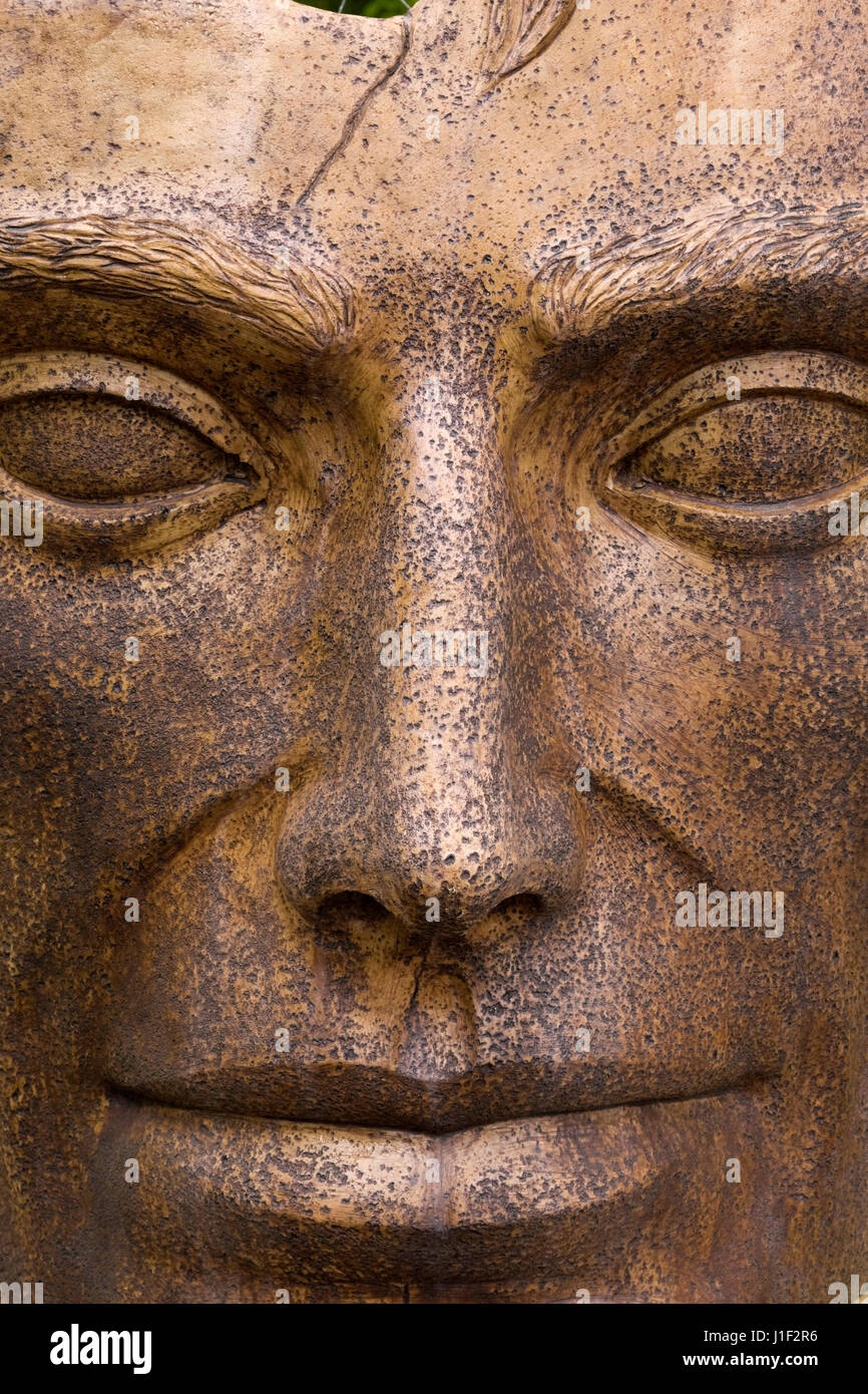 Human facial features hi-res stock photography and images - Alamy