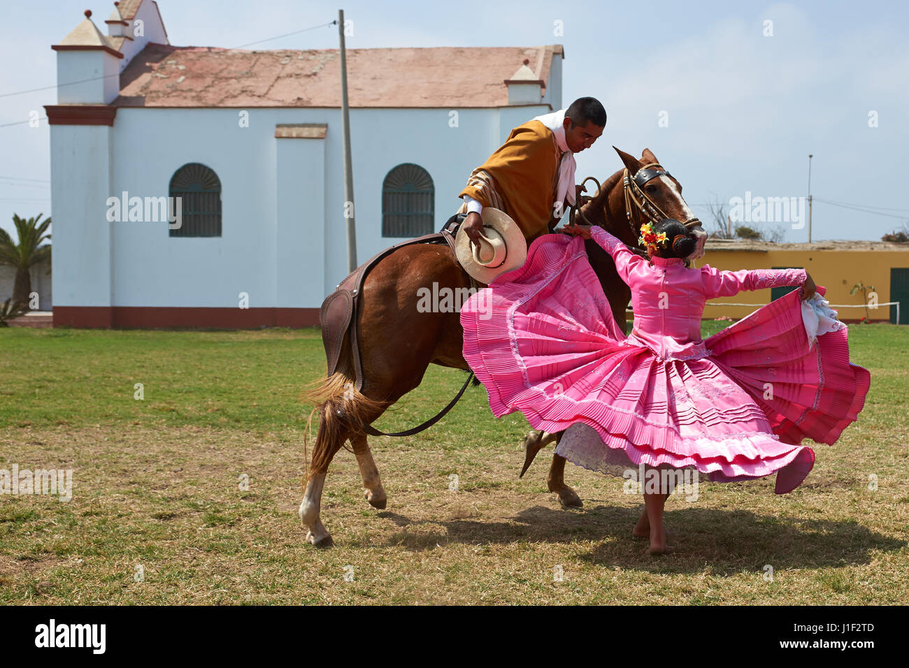 Peruvian paso horse rider in hi-res stock photography and images - Alamy