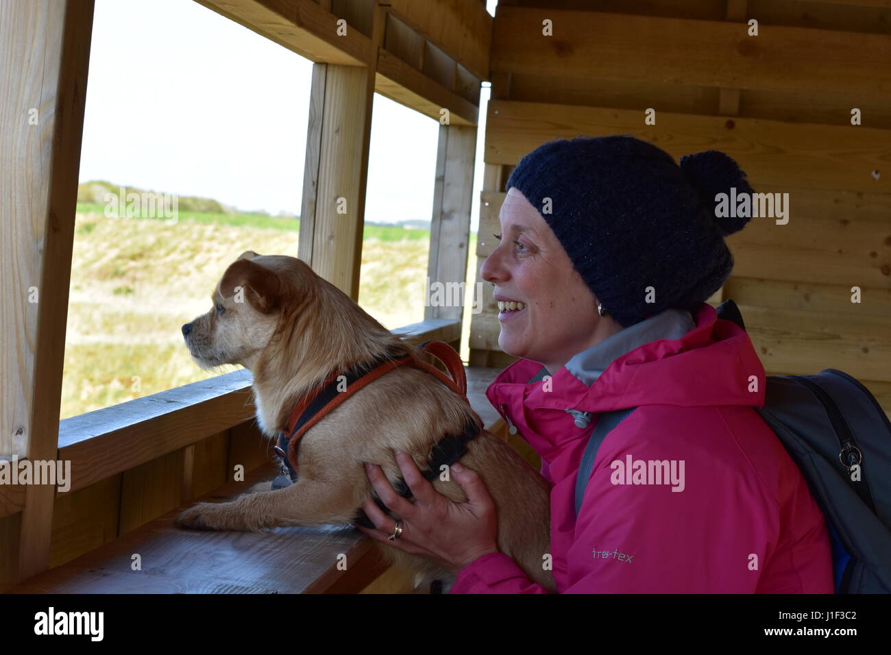 Woman and Dog looking out from an RSPB hide on a nature reserve Stock ...