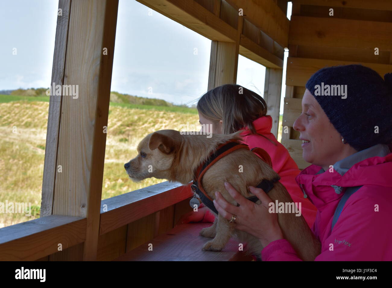 Woman, Girl and Dog looking out from an RSPB hide on a nature reserve ...