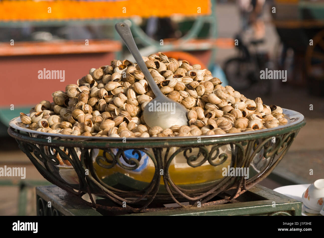 Ladle shell hi-res stock photography and images - Alamy