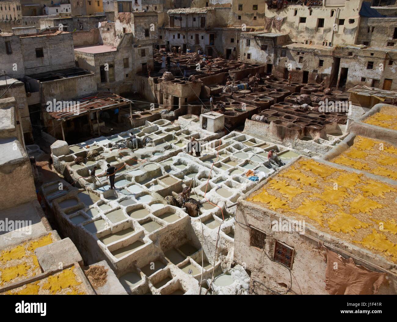 Historic working leather tannery in the heart of the ancient medina of ...