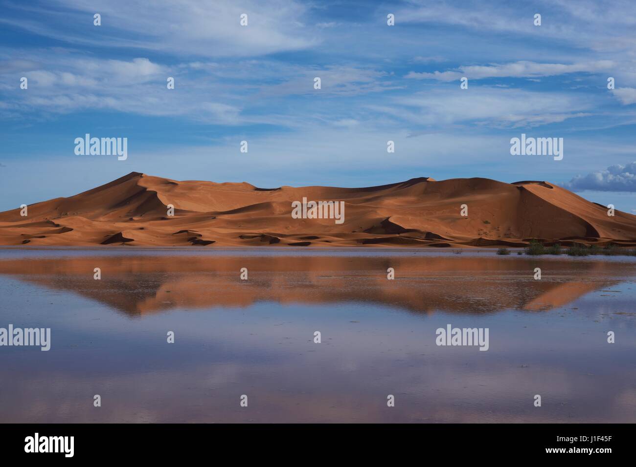 Pools of water amongst the sand dunes after a rain storm in the Sahara ...