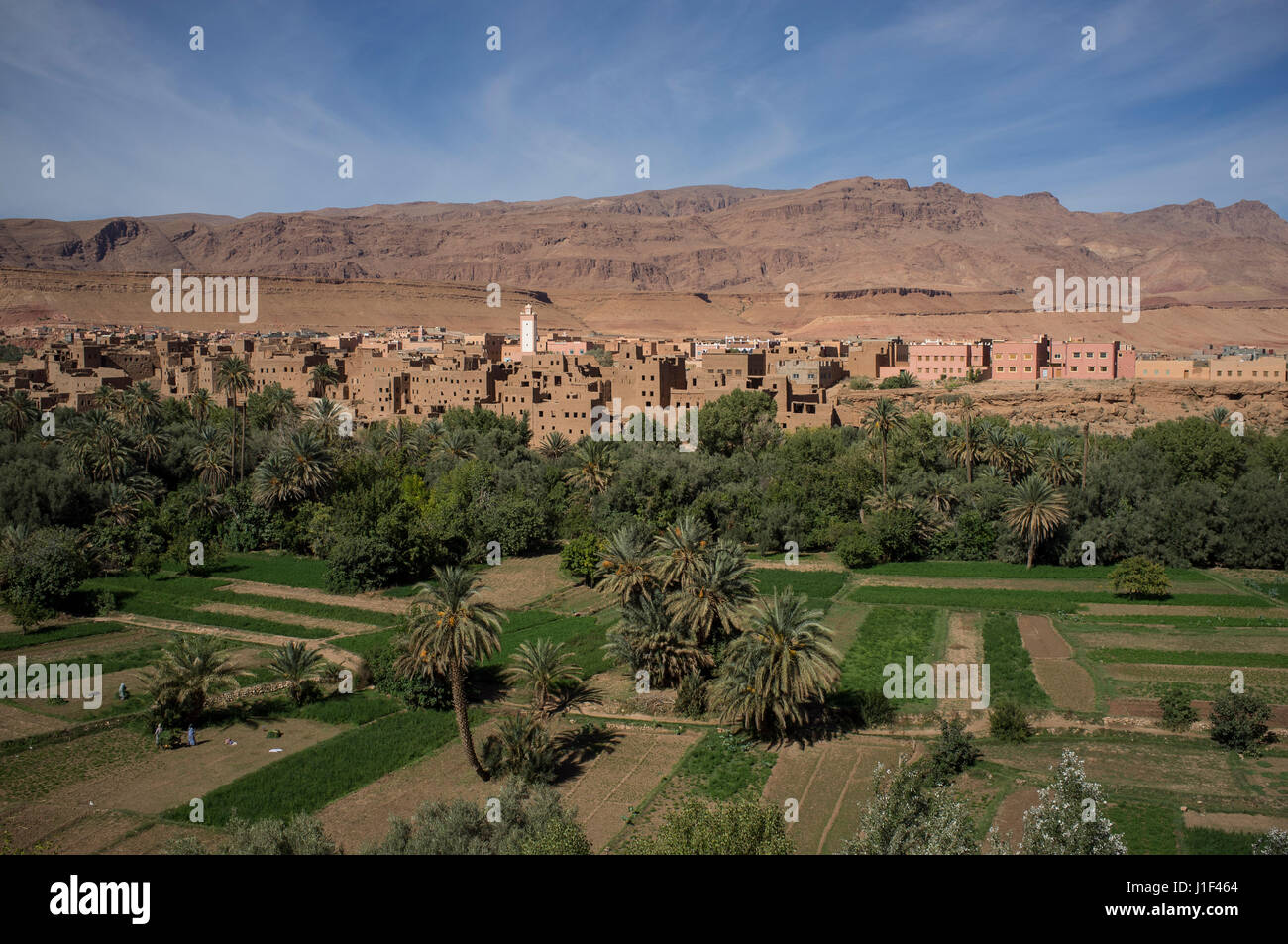Traditional Berber village and cultivated fields along a river valley ...