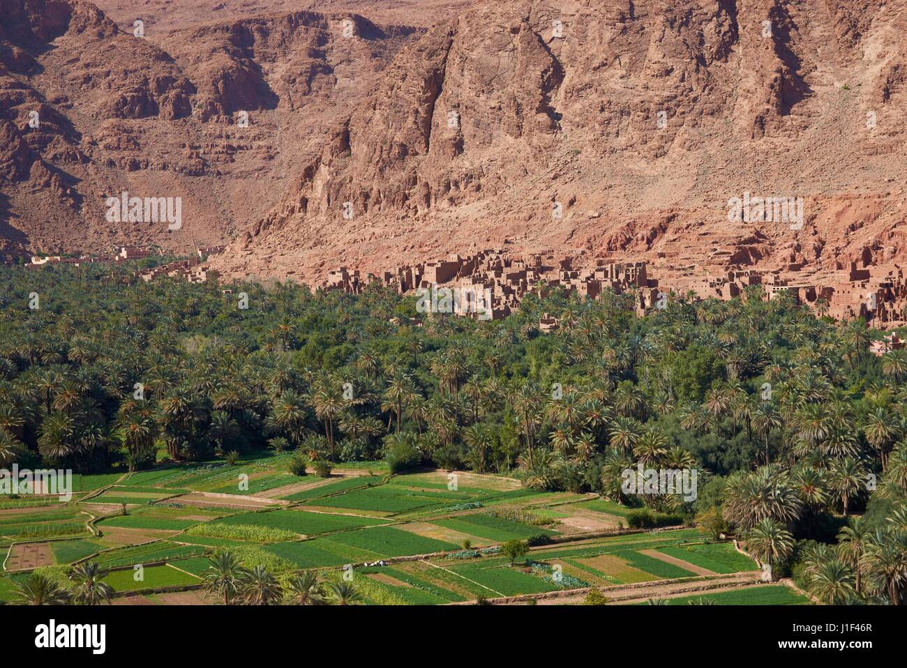Traditional Berber village and cultivated fields along a river valley ...