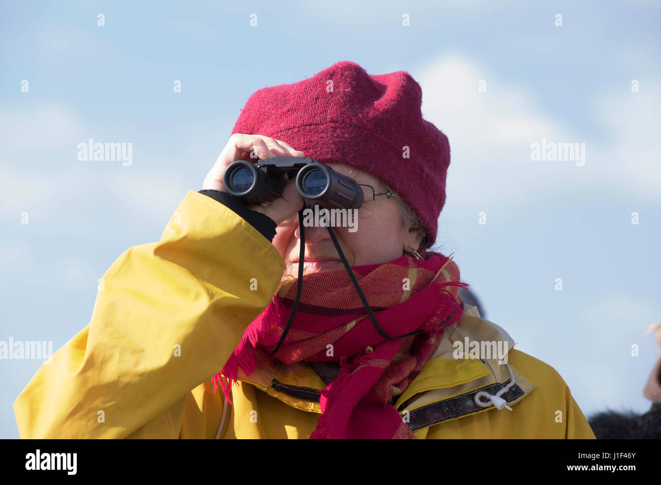 Woman peering through binoculars Stock Photo - Alamy