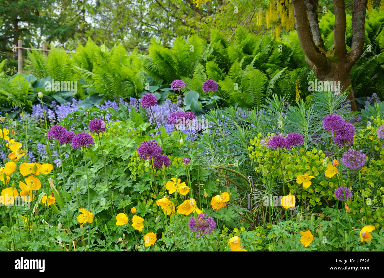 Beautiful pacific northwest spring garden Stock Photo - Alamy