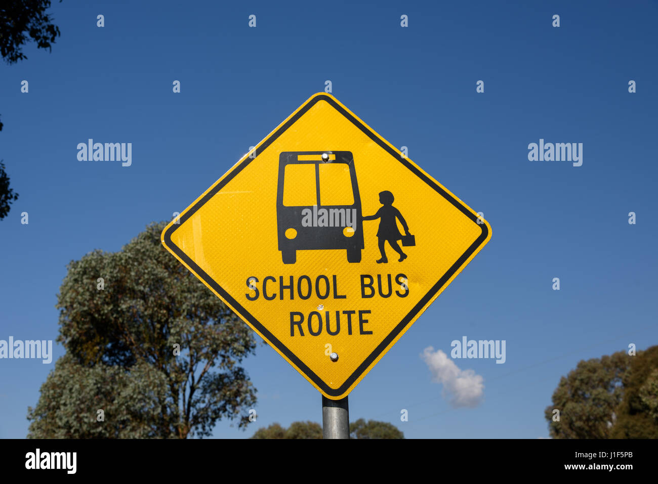 Australia school bus transport hi-res stock photography and images - Alamy