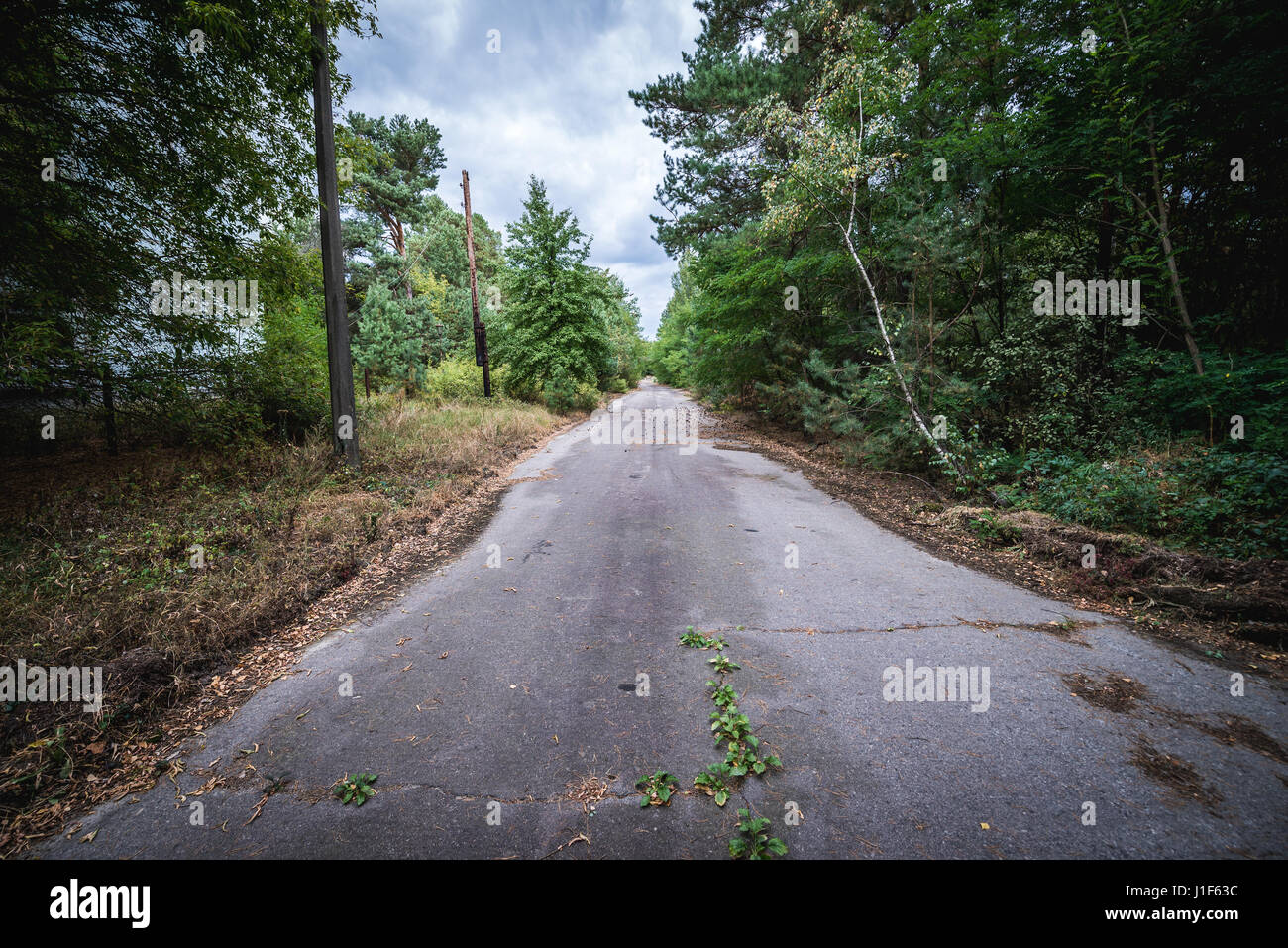Street in Pripyat ghost city of Chernobyl Nuclear Power Plant Zone of ...