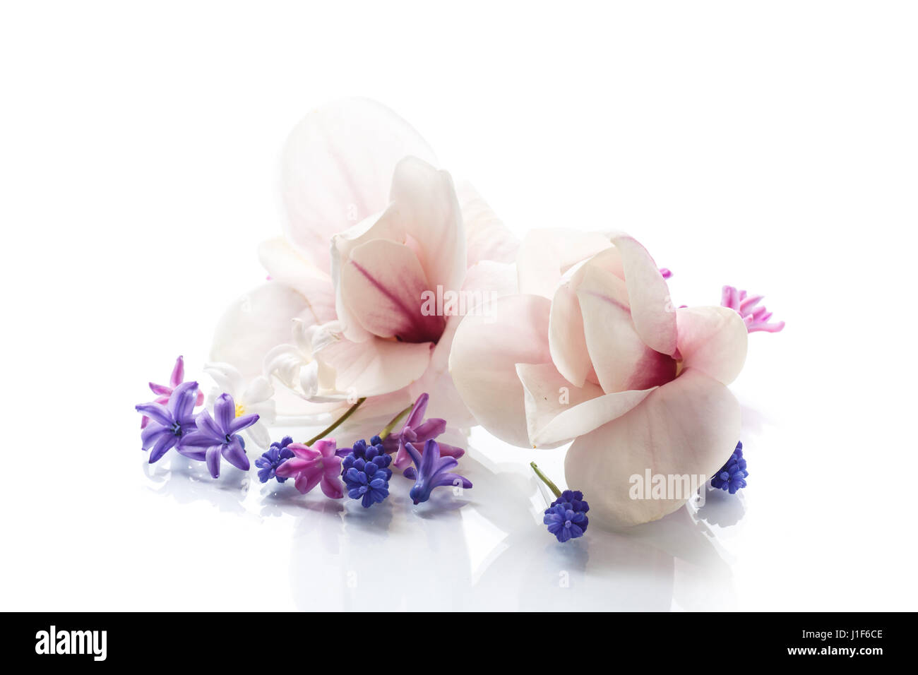 Set of spring flowers with magnolia Stock Photo - Alamy